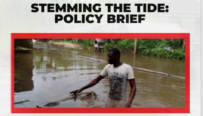 Policy Brief on Recurring Flood: Stemming the Tide | ActionAid Nigeria